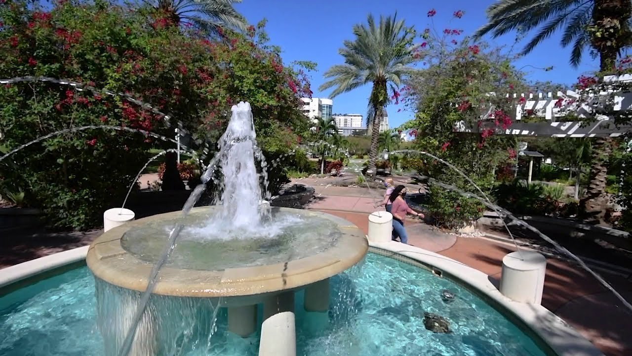 Petition · Bring Creative Writing Classes to Saint Petersburg's USF ...