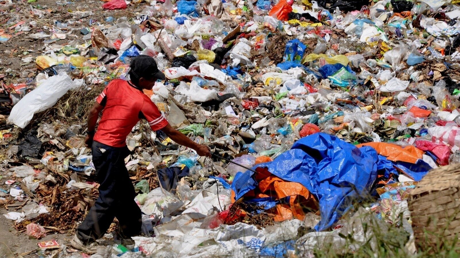 Petition · Improve Waste Management in the Philippines for a Cleaner ...