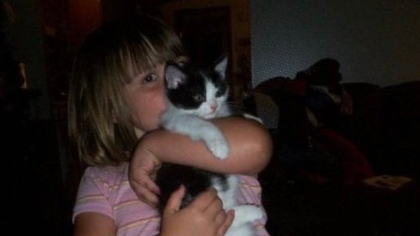 Petition · ari deserves a cat - United States · Change.org