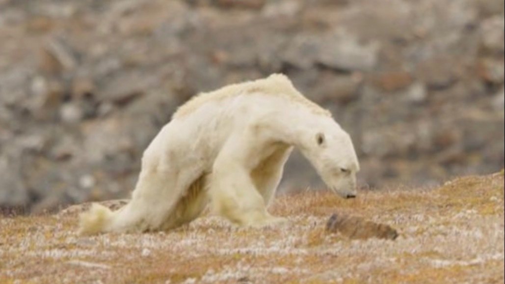 Petition · Stop willow project - United States · Change.org