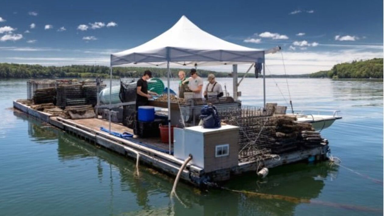 Petition · Stop Commercial Floating Structures on Public Waters in ...