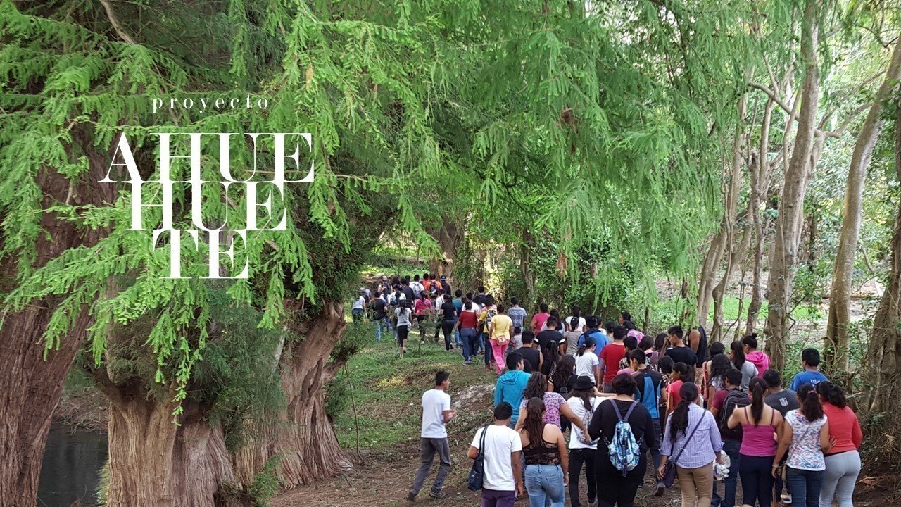 Petition · Rescate y preservación del Bosque de Galería de Ahuehuetes y ...