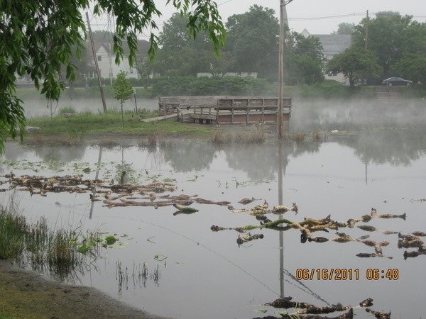 Petition · Save the Sayre Pond - United States · Change.org