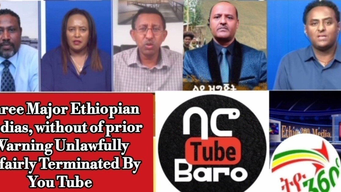 Petition update · The Impact of the Unlawfully Termination of Three ...