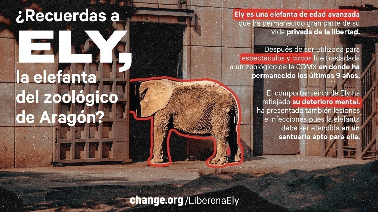 Petition update · ¡Última hora en caso Ely! · Change.org · Change.org