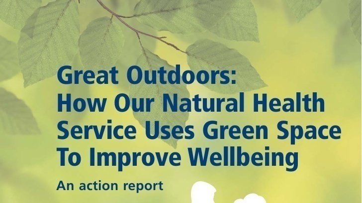 Petition · Stop Nant Caerau land grabbing green spaces - Cardiff ...