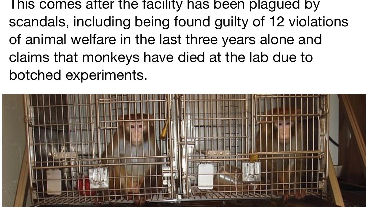 Petition · Stop the inhumane and cruel experiments on animals at ...