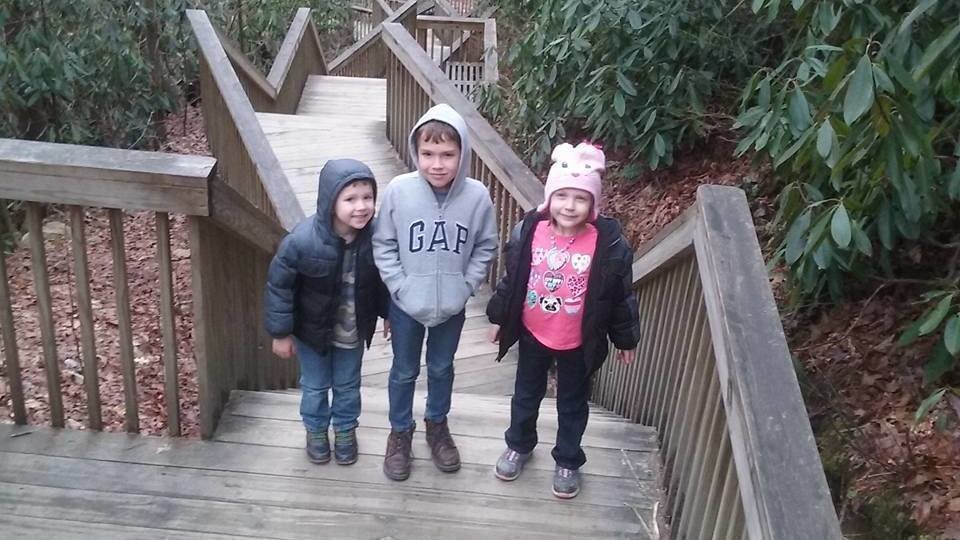 Petition · A Cry for Oversight: The Necessity to Effectively Regulate ...