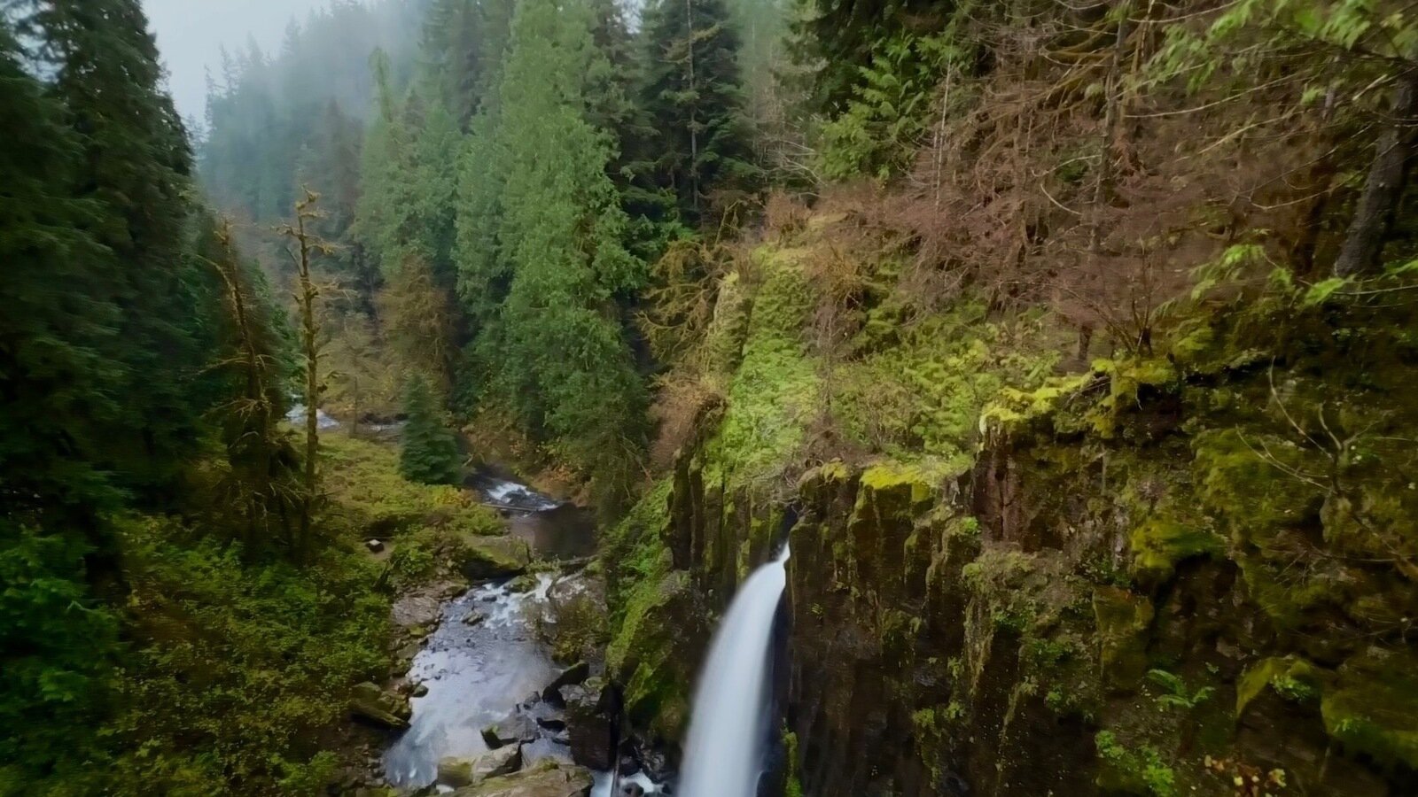 Petition · Stop the Sale of Oregon’s Public Lands — Keep the Wild Open ...