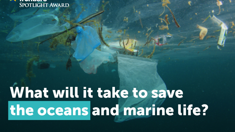 Petition · Keep Our Ocean Clean - Canada · Change.org