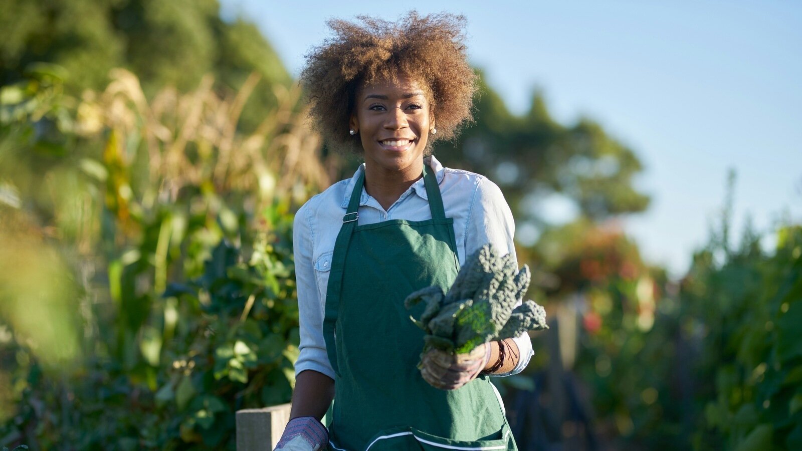 Petition · Don’t Let Politics Take Vital Aid From Minority Farmers ...