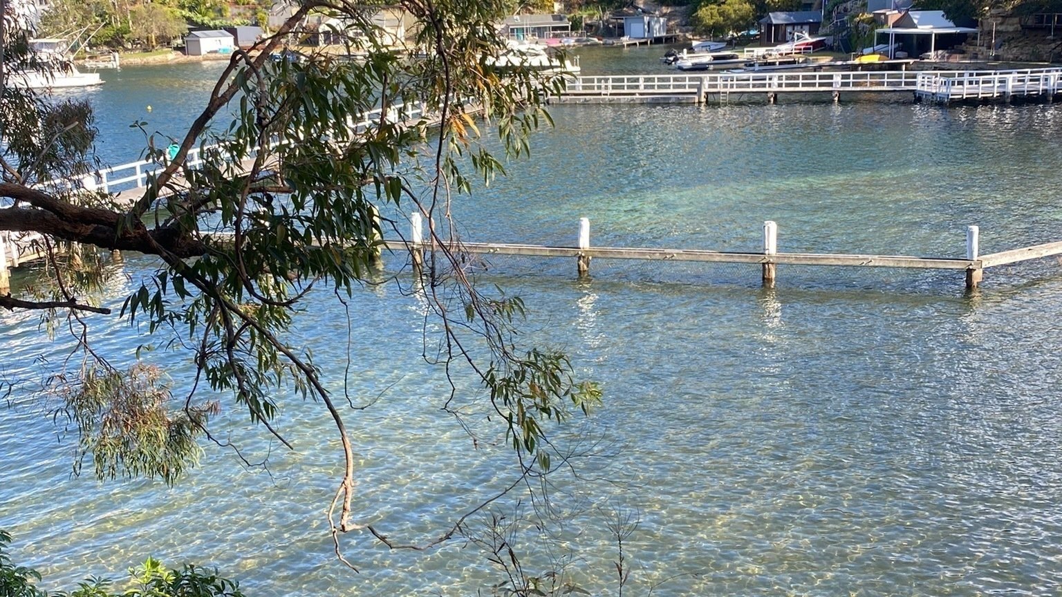 Petition · Progress and action on the upgrade and master plan for Gymea ...