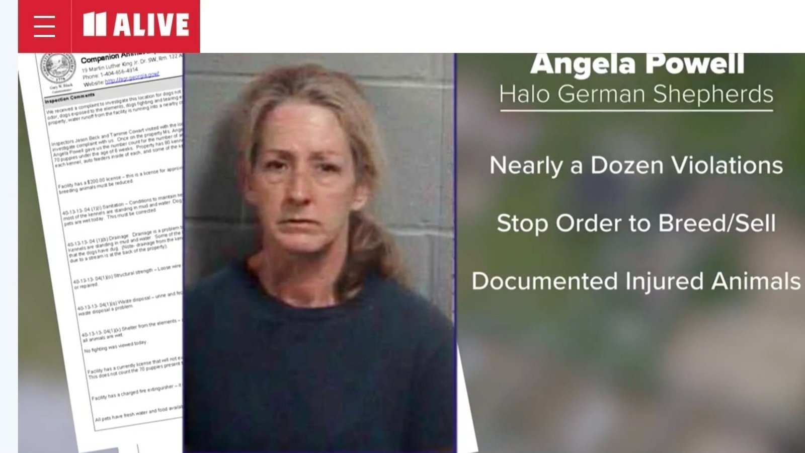 Petition · Demand Puppy Mill Breeder Angela Powell be Brought to ...