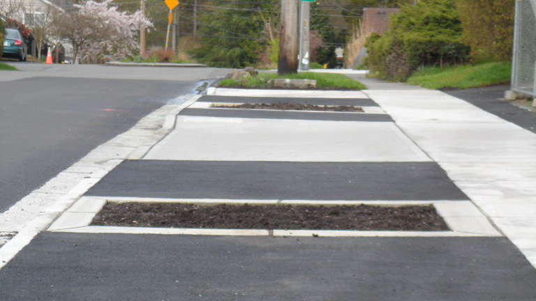 Petition · Seattle: Do Not Pave Our Planting Strips - United States ...