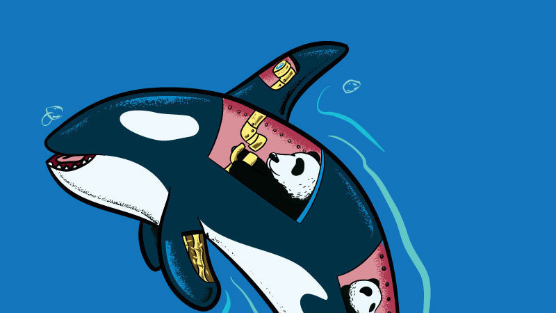Petition · Change the name Orca to Sea Panda - United States · Change.org