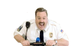 Petition · Paul Blart: Mall Cop 3 needs to be made! - United States ...