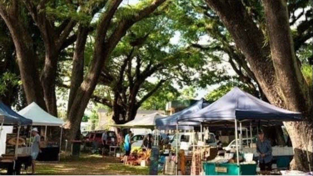 Petition · Pedestrian Crossing or flashing lights Mossman Markets ...