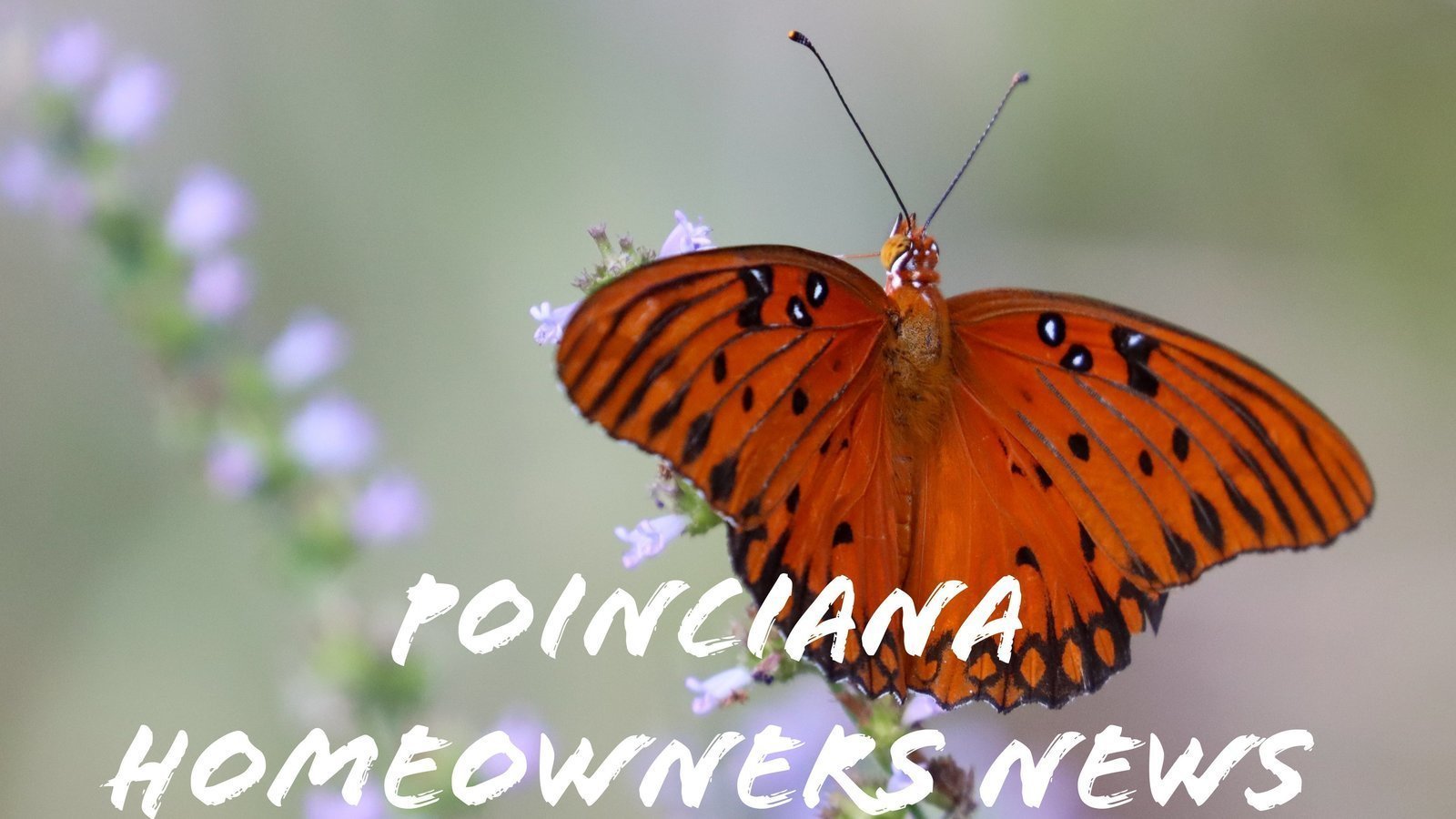 Petition update · We can do this!!! Time to vote for change is coming ...