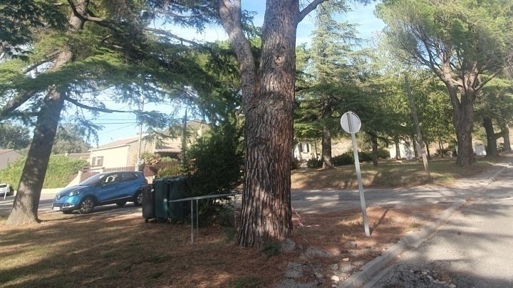 Pétition · NON à l'abattage des grands pins de la Baume-de-Transit - La ...