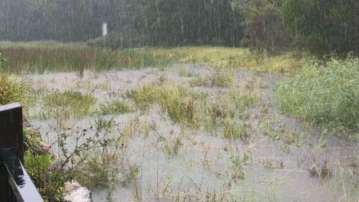 Petition · Improve and Maintain Flood Management Areas in Stockland ...