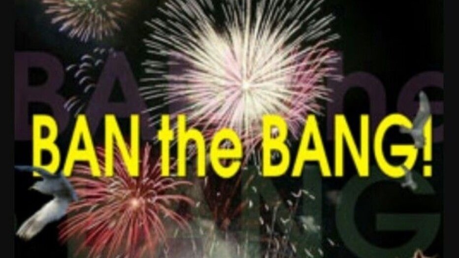Petition · Kempsey fireworks display, Ban the BANG! Not the display ...