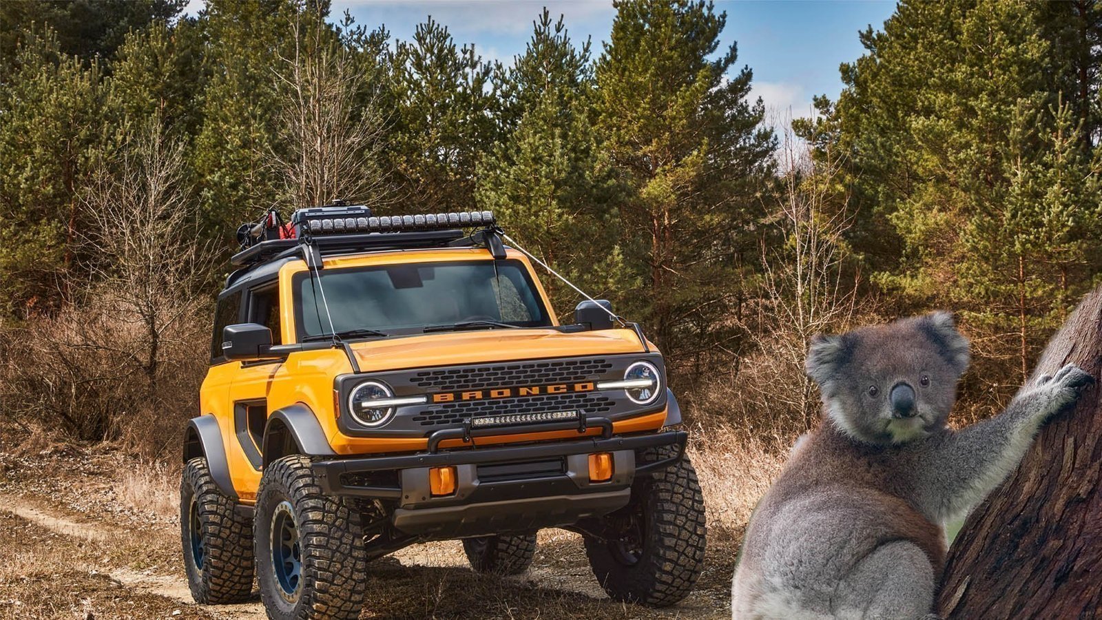 Petition · Bring the Ford Bronco to Australia - Australia · Change.org