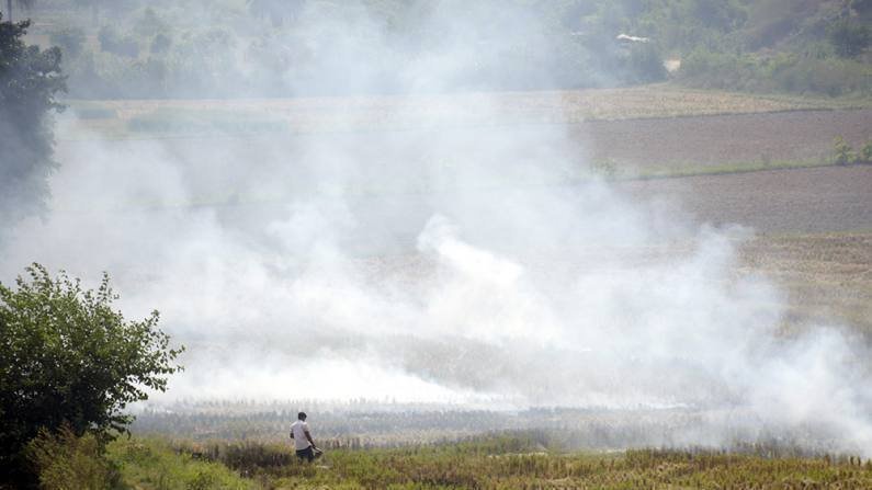 Petition · Modi govt. must promote bio decomposers for farmers ...