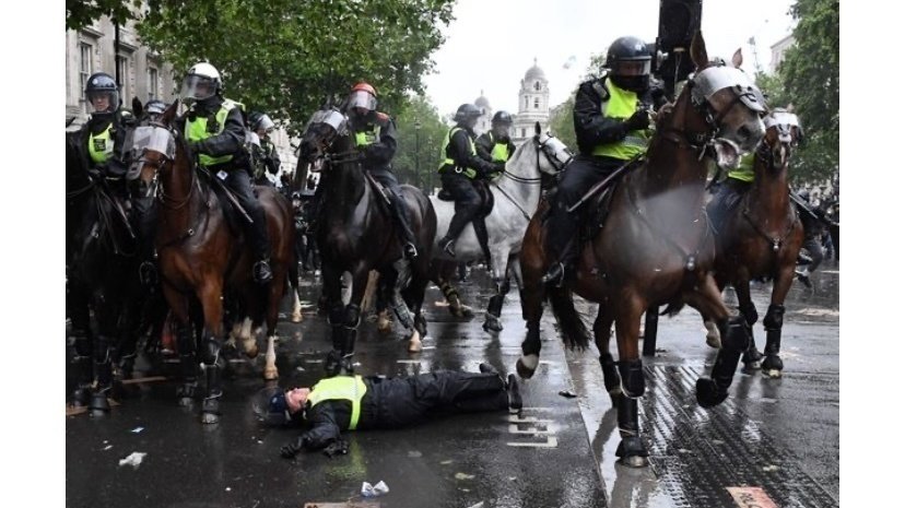 Petition · Ban the use of police horses for riot control! - United ...