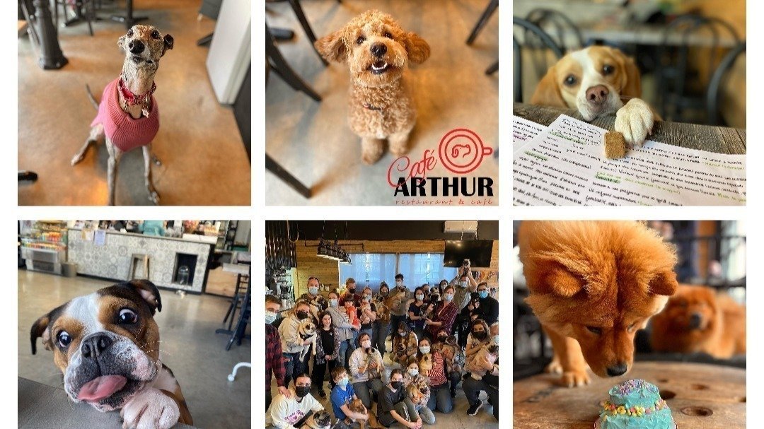 Pétition · Pétition pour le Café Arthur à l'attention du maire de Laval ...