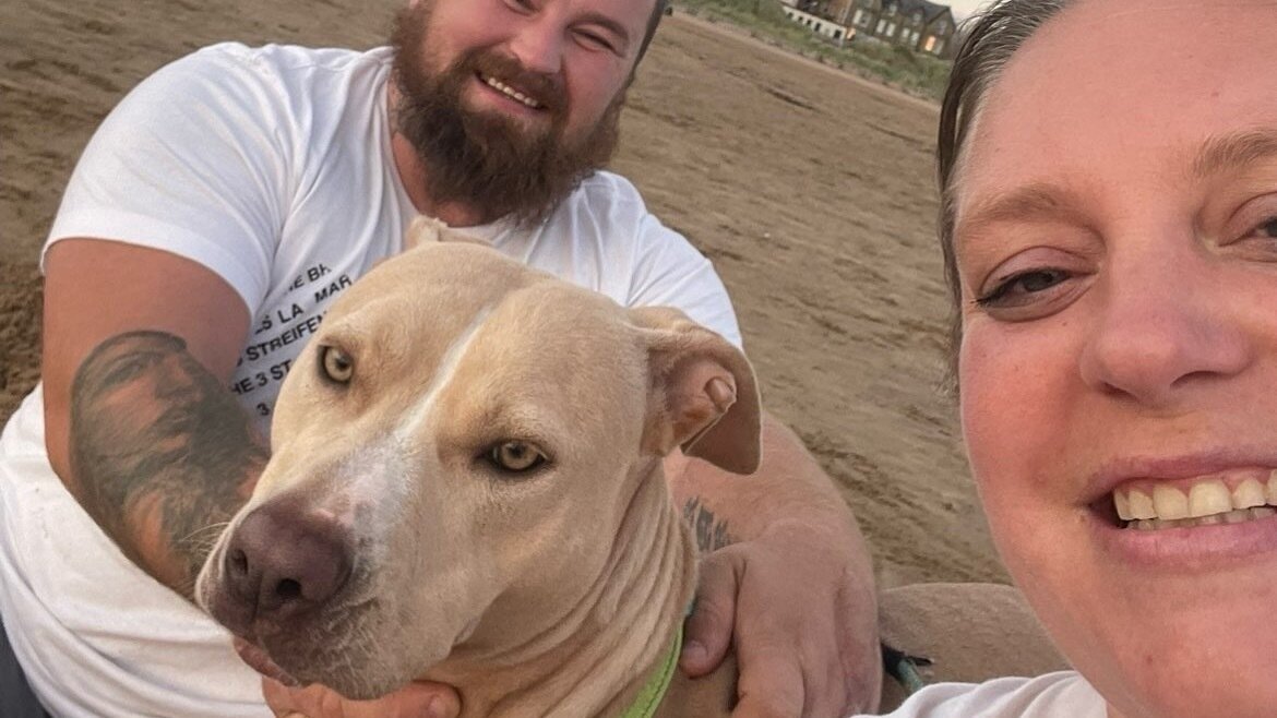 Petition · Return Storm, the Innocent Dog, to Her Loving Home - United ...