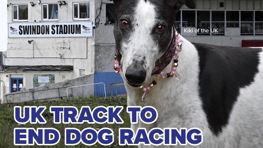 Petition update · Another UK track is closing, Swindon will be razed ...