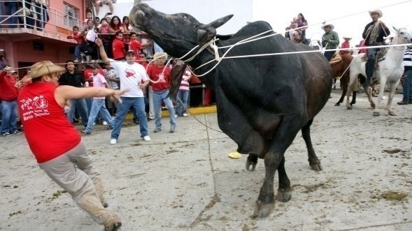 Petición · Abolición festividad "Embalse de toros " en México - España ...
