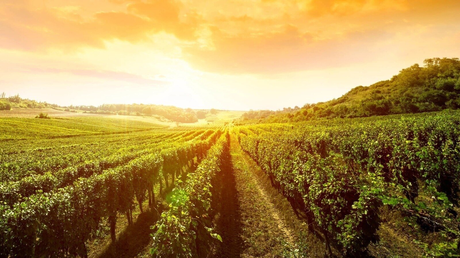 Petition · Supporting Local Farms - Canada · Change.org