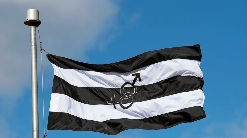 Petition · Straight Pride Month - United States · Change.org