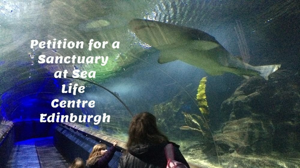 Petition · Let's help keep the sharks, seals & rays safe and free by ...