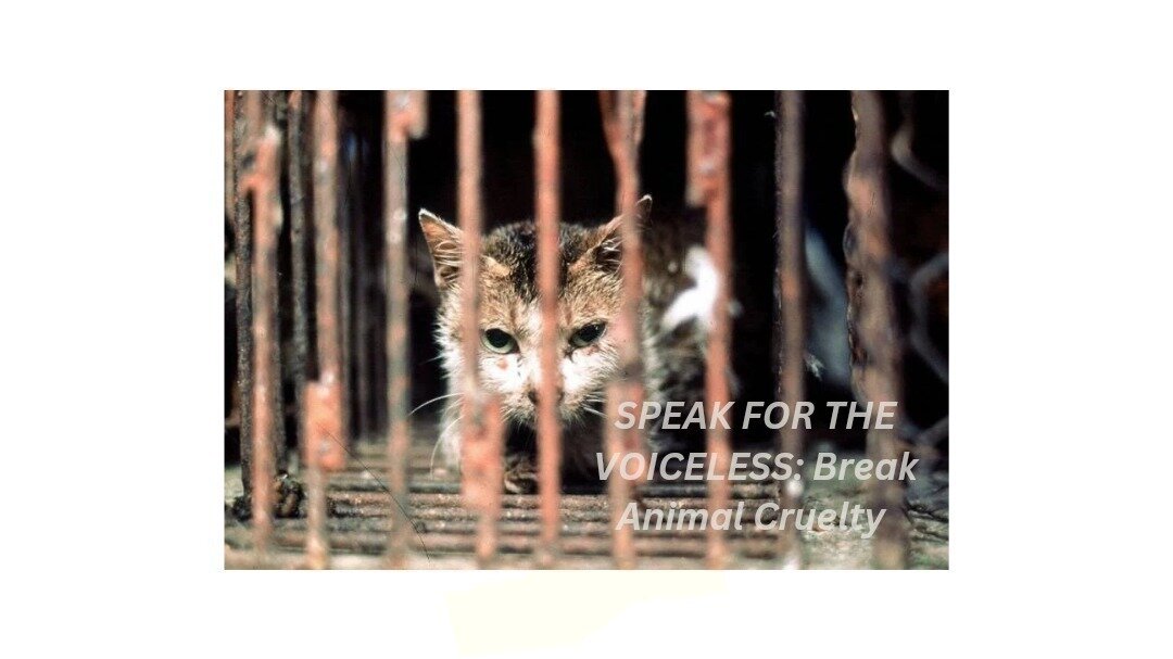Petition · Be Their Voice, Break Animal Cruelty - Cabucgayan ...