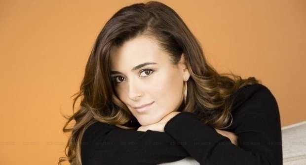 Petition · The writers and producers of NCIS: Bring back Cote De Pablo ...