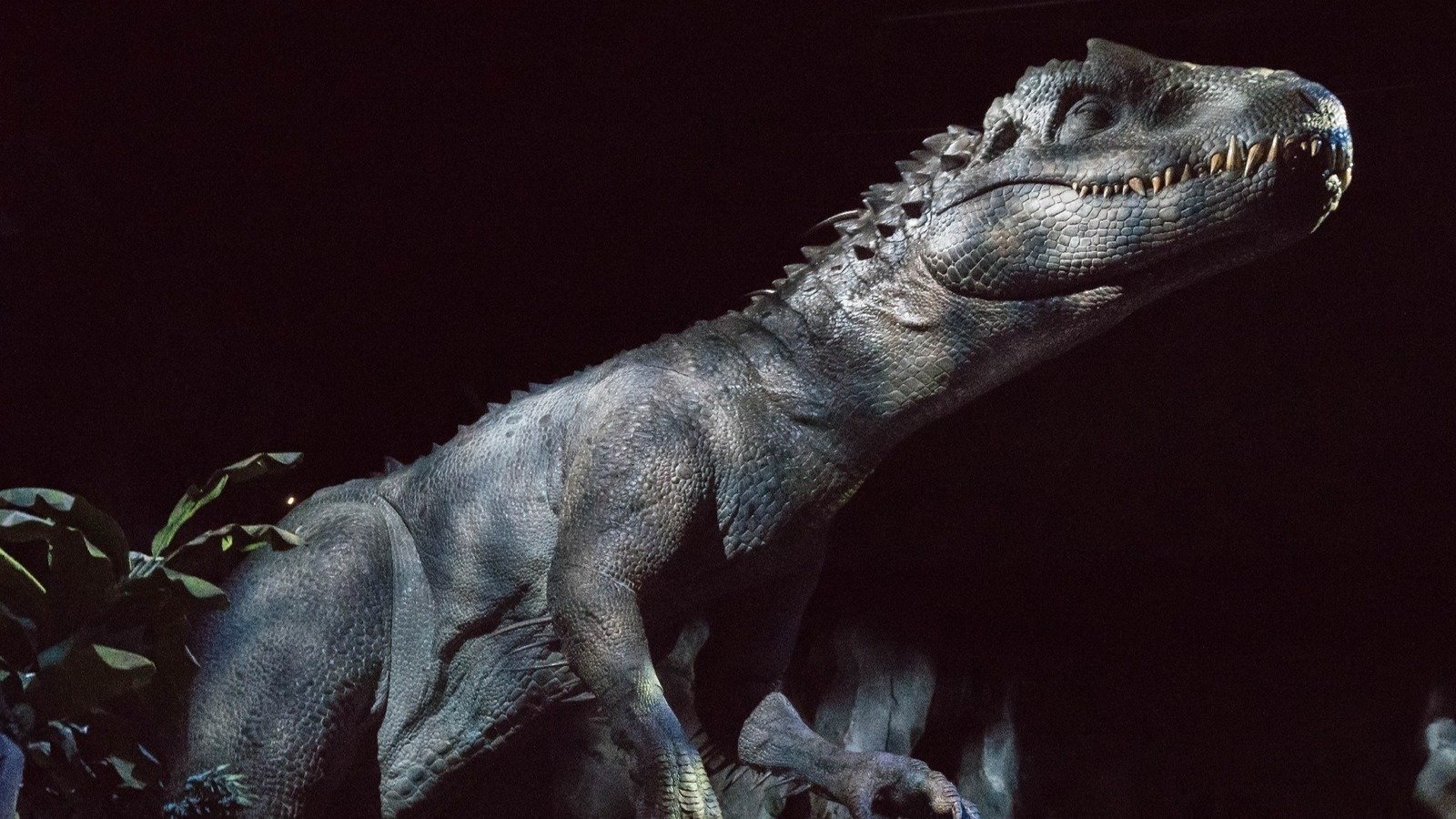Petition · Give a Name to the Indominus Rex on Jurassic World: The Ride ...