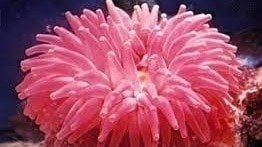 Petition · Shock plant · Change.org