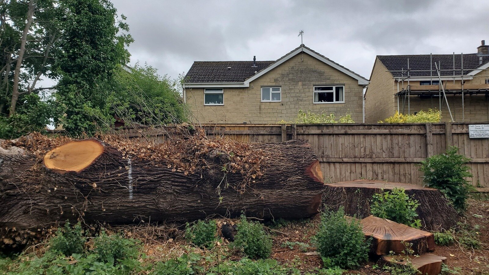 Petition · Investigate the Cutting of Historic Oaks in Haydon Wick ...