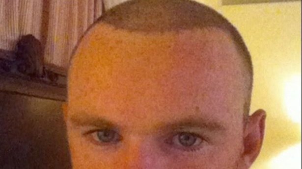 Petition · BAN BUZZCUTS THEYRE UGLY!! - United States · Change.org