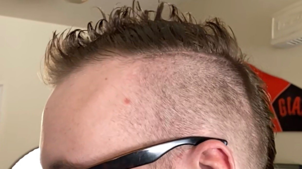 Petition · Keep the hawk · Change.org