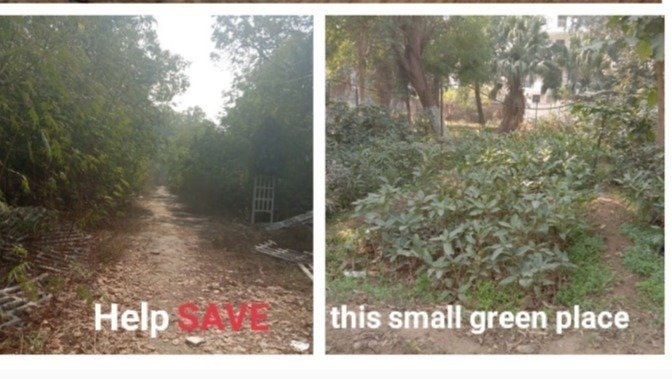 Petition · Save HSVP nursery in Gurugram - Gurugram, India · Change.org