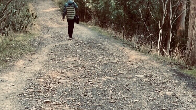 Petition · Improve the ‘Bumpy Track’ (Lower Marlyn Rd) - for cycling ...