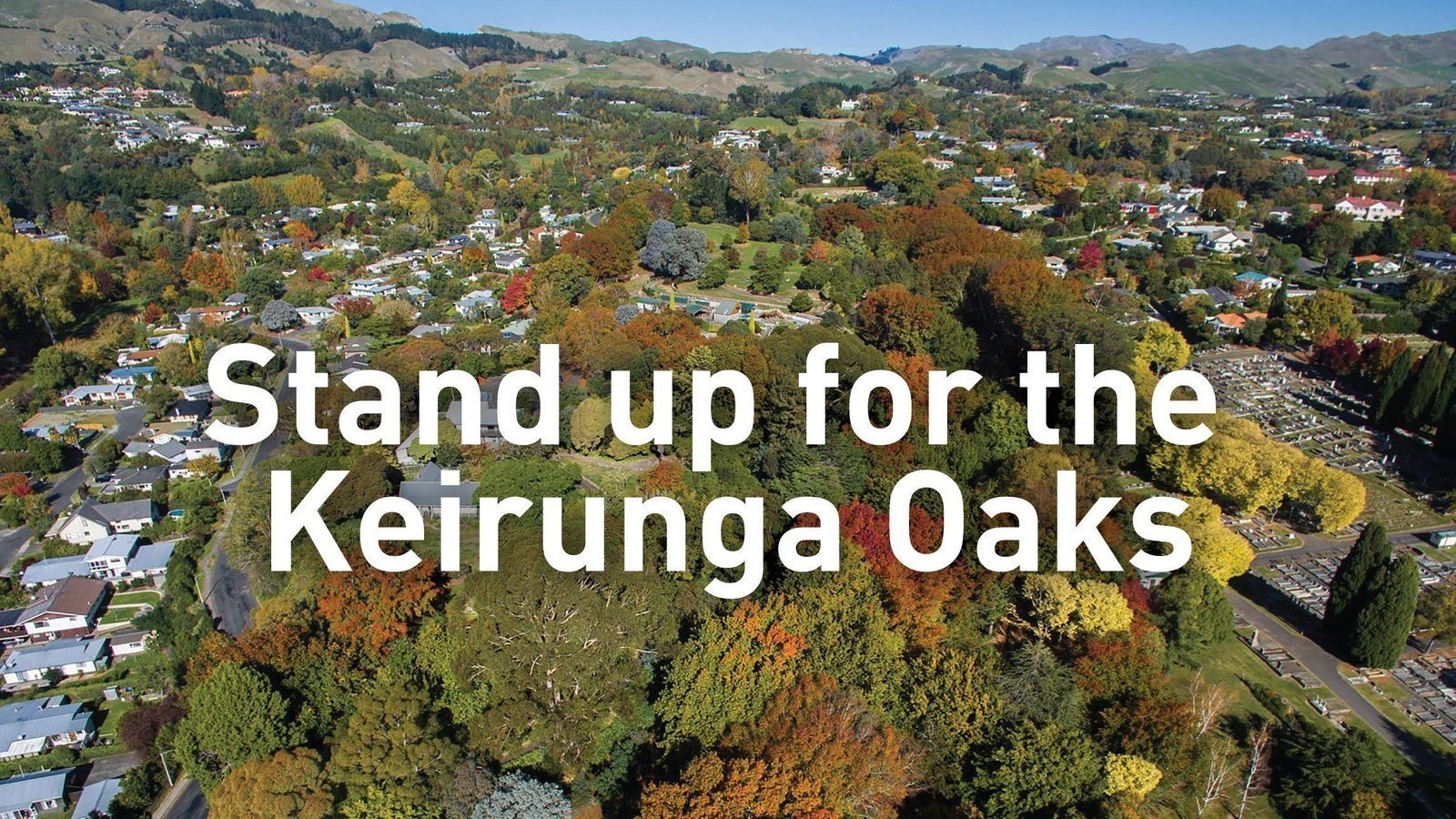 Petition · Save The Oaks at Keirunga Gardens - New Zealand · Change.org