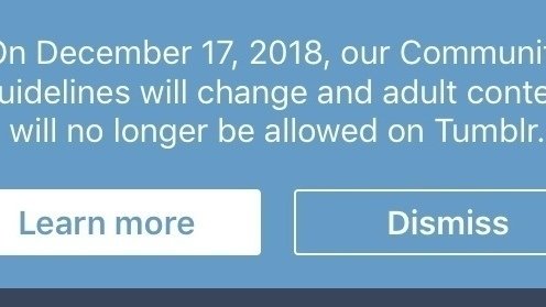 Petition · Revoke the Dec 17 Tumblr ban - United States · Change.org