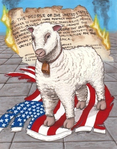 Petition · Honor, uphold and obey the Constitution and the rights ...