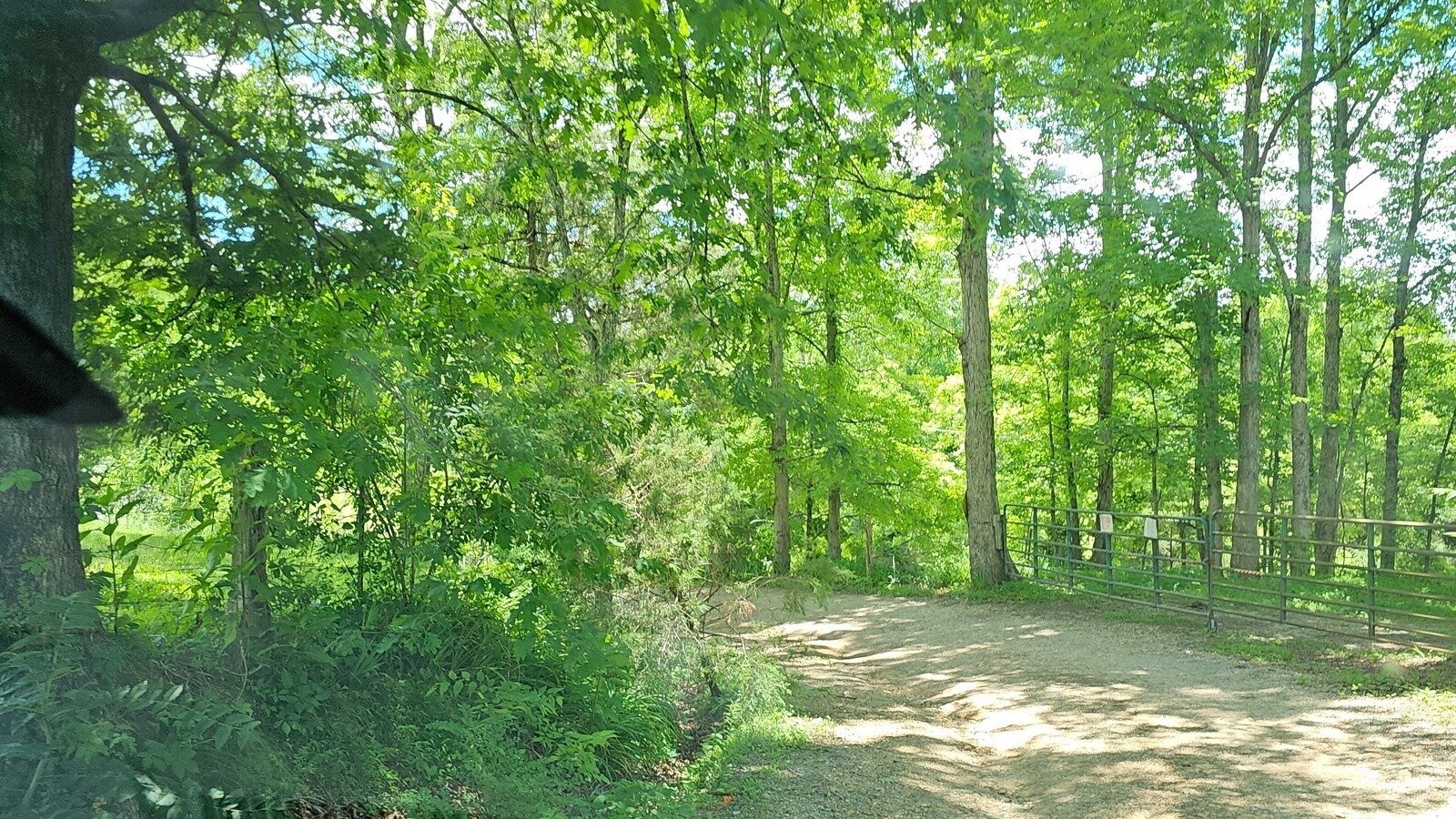 Petition · Reopen and maintain Clay Hollow Road North - United States ...