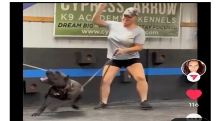 Tina Frey Dog Training