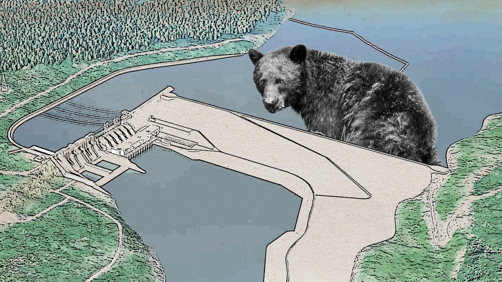 Petition · Delay flooding of Site C dam until BC bears come out of ...